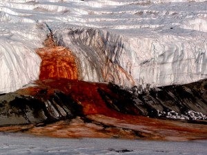 Il mistero delle cascate di sangue in Antartide